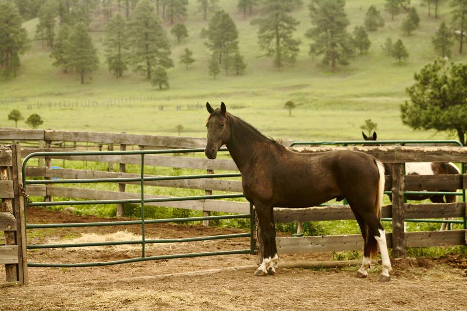N Bar Ranch